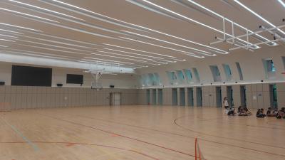 China Chapas de teto suspensas de absorção sonora de alumínio painéis acústicos microperforados à venda