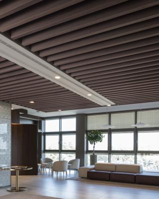 Cina Pannelli per soffitto per uffici Baffles 2/2/0.5mm NANO Microforati per assorbimento acustico in vendita