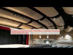 Curved Aluminium Acoustic Panels Micro Composite Acoustical Ceiling Panels Tile 2x6