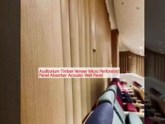 Auditorium Timber Veneer Micro Perforated Panel Absorber Acoustic Wall Panel