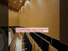 TBC Linear Wooden Veneer Acoustic Panel 14/2mm For School Conference Hall