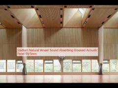 Stadium Natural Veneer Sound Absorbing Grooved Acoustic Panel 59/5mm