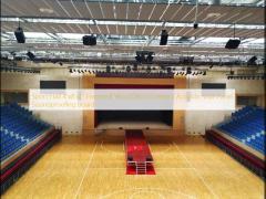 Sport Hall 4'x8'x1'' Fireproof Wood Wool Cement Acoustic Wall Panel Soundproofing Board