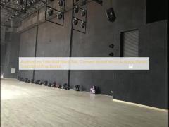 오디토리움 옆벽 검은색 RAL 시멘트 나무 양털 어쿠스틱 패널 소음 격리판