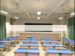 Primary School Classroom RAL Painting Wood Wool Cement Acoustic Panel Sound-absorbing Board