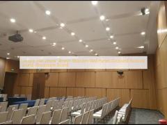 Lecture Hall Linear Veneer Wooden Wall Panels Grooved Acoustic Sound Absorption Board