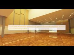 2/2/0.5mm Auditorium Amercia Oak Veneer Microperforated Wall Acoustic Sound Absorbing Panels