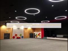 4'x8' Auditorium Oak Veneer Timber Microperforated Sound Absorbing Wall Acoustic Panels