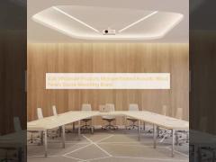 Bulk Wholesale Products Microperforated Acoustic Wooden Panels Klank Absorberend Plaat
