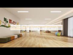 Dance Room Ceiling Tile 2/2/0.5mm Microperforated Acoustic Panels Soundproofing Board