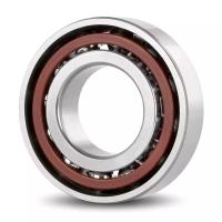 China Sample Black Angular Contact Ball Bearing 7003AC for Performance17x35x10mm for sale