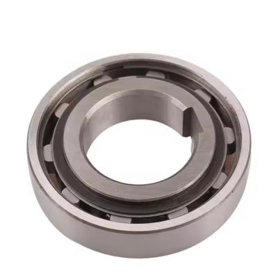 Cina AS45 TSS45 NSS45 Freewheel Clutch One Way Roller Ball Bearing per riduttori in vendita
