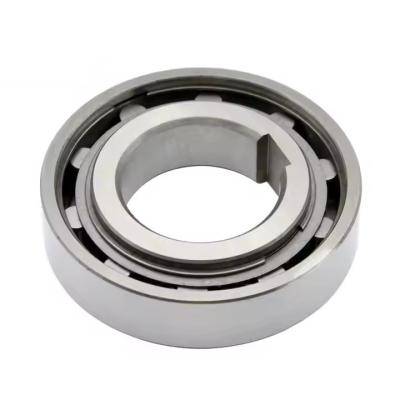 Cina AS45 TSS45 NSS45 Freewheel Clutch One Way Roller Ball Bearing per riduttori in vendita