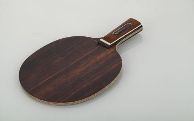 Cina Lama ossuta di ping-pong di buona elasticità facile al piatto di ping-pong di controllo in vendita