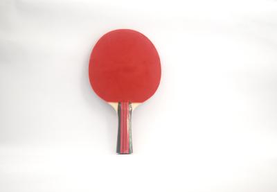 China 専門の合板の卓球のかい/卓球は12 PCS/箱を打ちます for sale