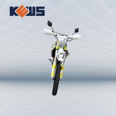 Cina K22 Off Road elettrico e sulla versione della bici due della sporcizia del motociclo della strada facoltativa in vendita