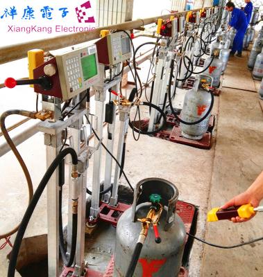 中国 クラス3溶かされたLPGのガス ポンプの充填機 販売のため