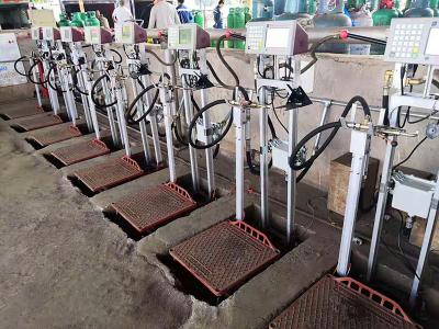 Cina Il multi tipo ha liquefatto le scale del materiale da otturazione del gas per il distributore di benzina del gas di GPL in vendita