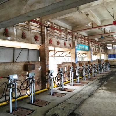 Cina Il multi tipo ha liquefatto le scale del materiale da otturazione del gas per il distributore di benzina del gas di GPL in vendita