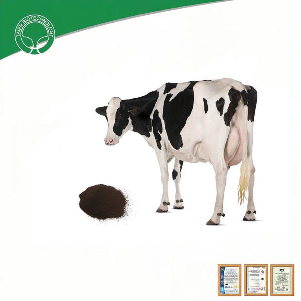 Quality Spray Dried Chicken Blood Meal for sale