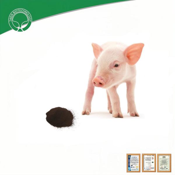 Quality Spray Dried Chicken Blood Meal for sale