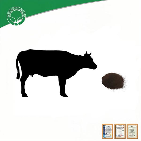 Quality Spray Dried Chicken Blood Meal for sale
