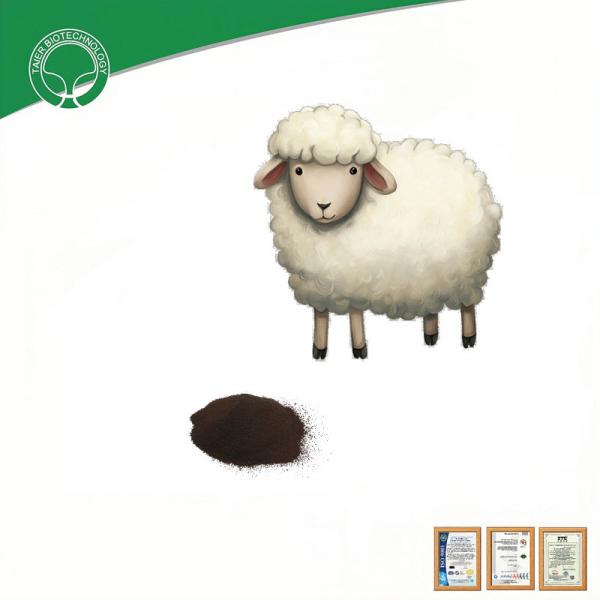 Quality Spray Dried Chicken Blood Meal for sale