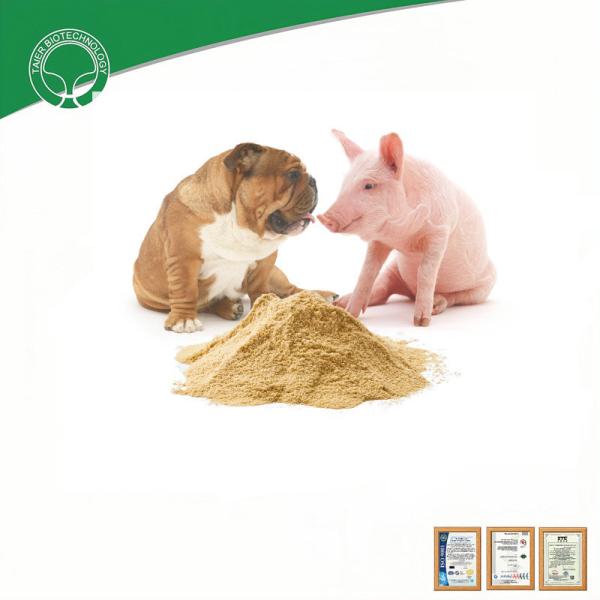 Quality Avian Origin Spray Dried Plasma Protein for sale