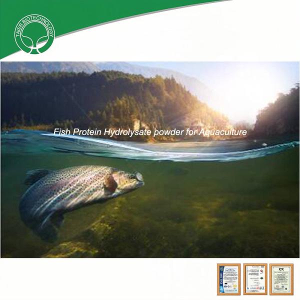 Quality Fish Feed Water-Soluble Small Peptide Fish Protein for sale