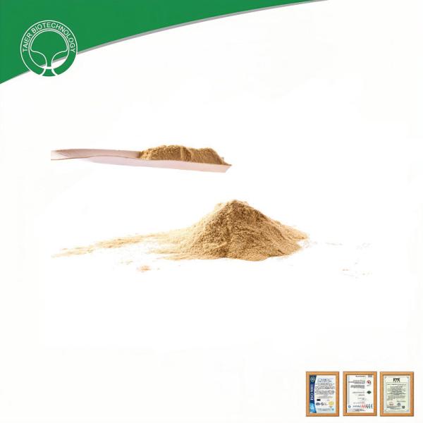 Quality Spray Dried Plasma Protein for sale