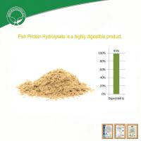 China 100% Pure Hydrolyzed Fish Protein for sale