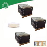 China Peptone From Vegetable for Microbiology for sale