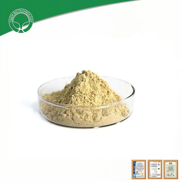 Quality Vegetable Peptone for Food Industry Fermentation for sale