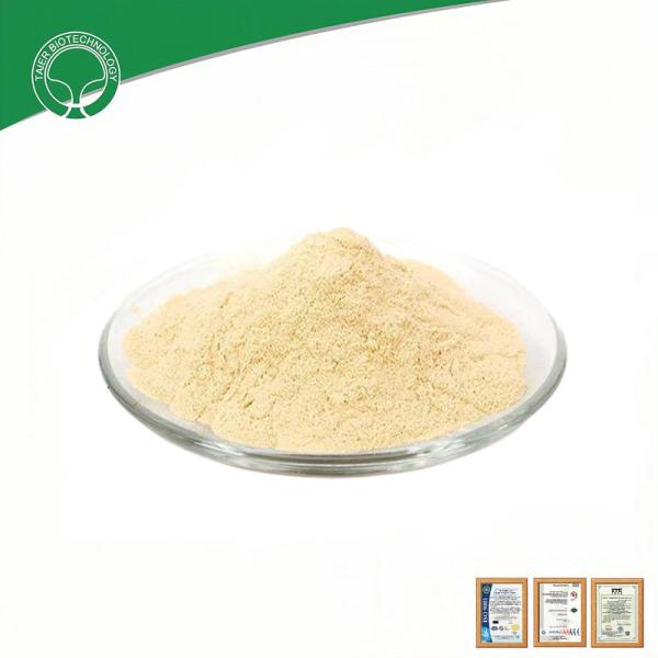 Quality Soy Peptone High-Quality Raw Materials for Industrial Fermentation for sale