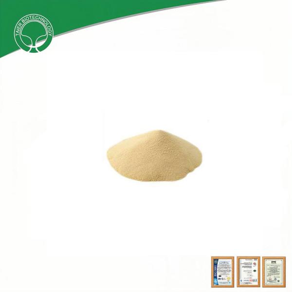 Quality Vegetable Peptone for Industrial Fermentation for sale