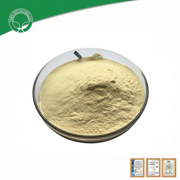 Quality Vegetable Peptone for Industrial Fermentation for sale
