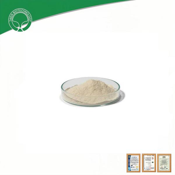 Quality Vegetable Peptone for Industrial Fermentation for sale