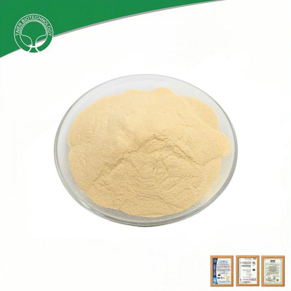 Quality Factory Offer Nitrogen Source Fish Peptone for Industry Fermentation for sale