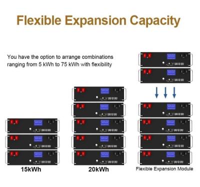 Cina Pacchetto 200ah della batteria dello ione 48V Lifepo4 del litio con la porta di comunicazione di BMS Canbus RJ485 in vendita