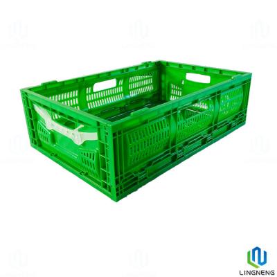 China Fruit / groenten 36L vouwbaar krat Doos Plastic vouwbaar opslag krat met mechanisch handvat Te koop