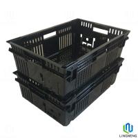 China 35L 20KGS Plastic Fruit And Vegetable Crates Stackable Assorted Colors for sale