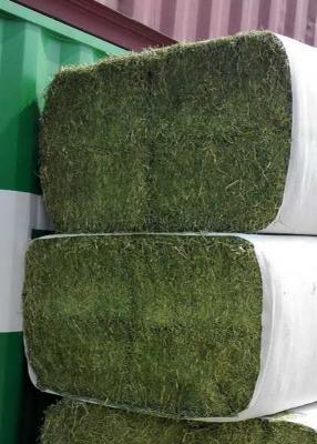 China High Strength Woven Polypropylene Hay Bale Wrapping Fabric for sale