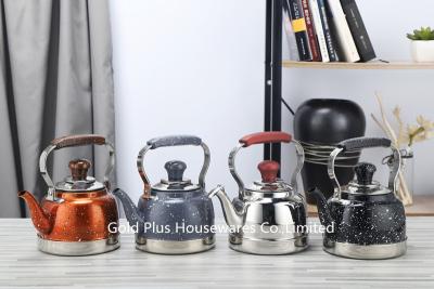 Cina Caffettiera nera di colore di acciaio inossidabile della cassaforte degli elettrodomestici dei bollitori controllabili dell'acqua in vendita