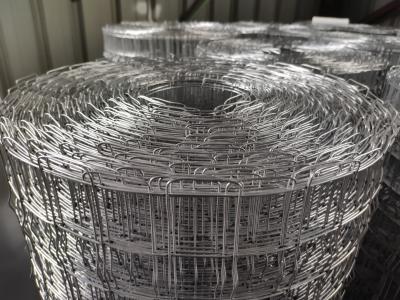 Cina Rete per intonaco zincata saldata da 2x2 pollici, 16ga, rinforzo per rivestimenti murali zincati in vendita