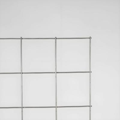 China Pro Groundhog Exclusion Weld Mesh Fencing Rolls Top Climb Barrier With Gravity System for sale
