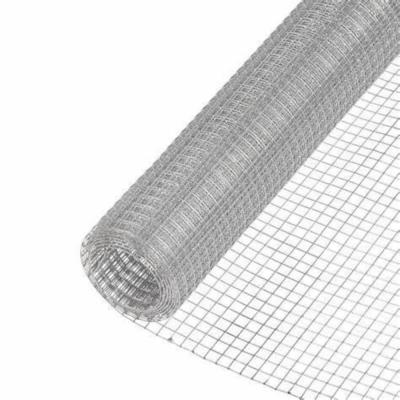 China Rodent Barrier Welded Wire Mesh Roll Custom 1 Inch Small Mesh Base Section for sale