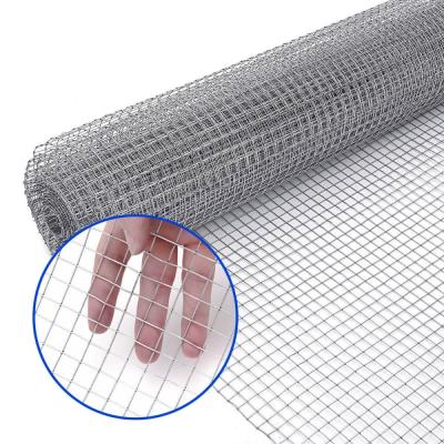 China Heavy Duty Mole Barrier Welded Wire Mesh Roll 6