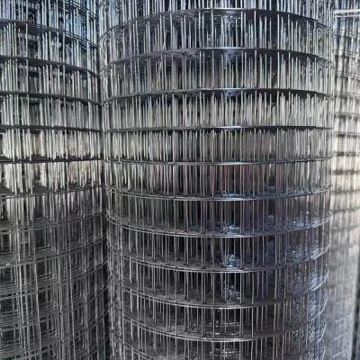 China Rodent Barrier Welded Wire Mesh Roll Custom 1 Inch Small Mesh Base Section for sale