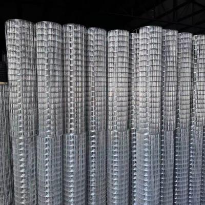 China Rodent Barrier Welded Wire Mesh Roll Custom 1 Inch Small Mesh Base Section for sale