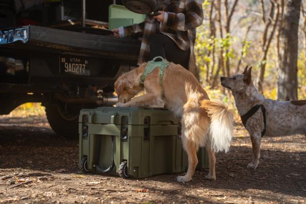 Quality V5 Rugged Outdoor Camping Storage Box 125L With Interlocking Design for sale
